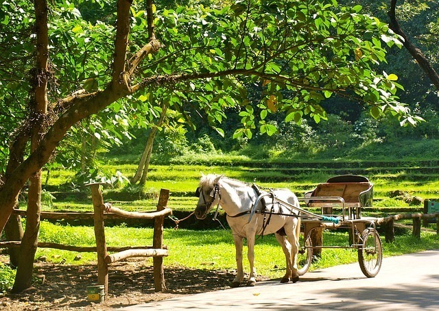 PCO Insurance Hackney Carriage - Multi Quote Time